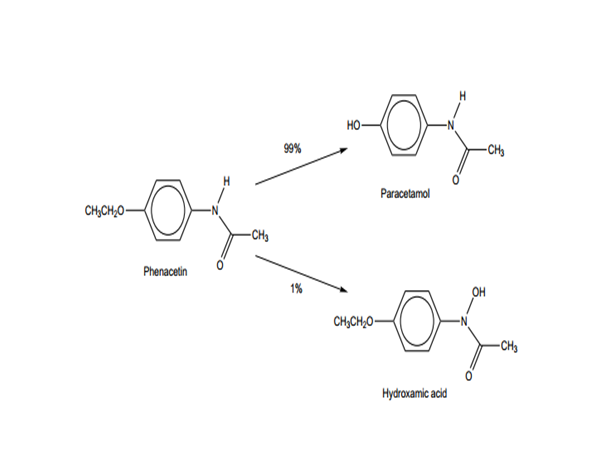 Metabolism of phenacetin (N-4-Ethoxyphenyl) ethanamide) in human body