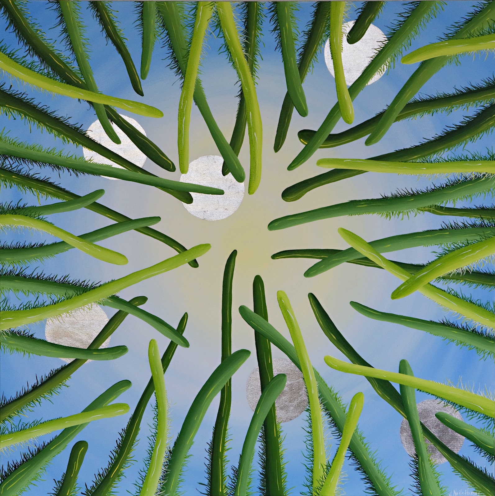 J Neils Harvey iDotArt: A Bugs Perspective