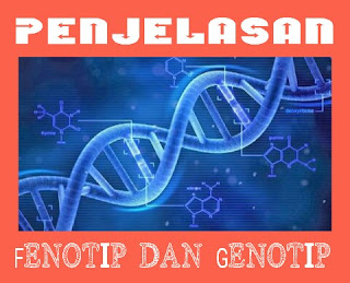 Penjelasan lengkap tentang fenotipe dan genotipe - Indonesia Pintar