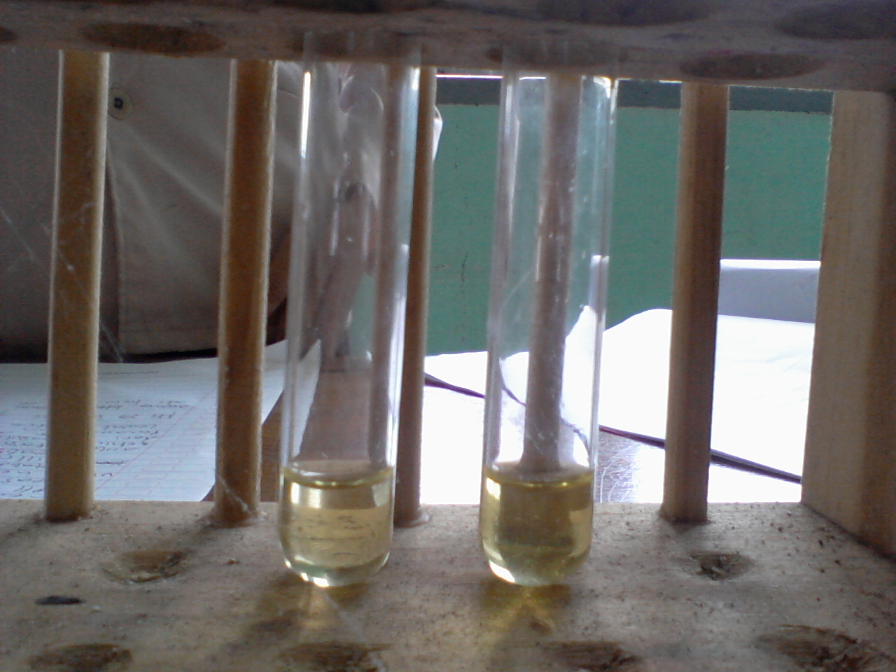 BIOLOGY GROUP XI IPA RSBI 2: SISTEM EKSKRESI