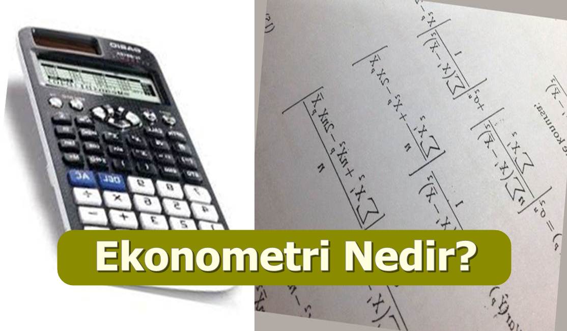 Ekonometri Bilim Dalı ve Ekonometri Nedir ? - Ekonomi Hakkında Bilgiler