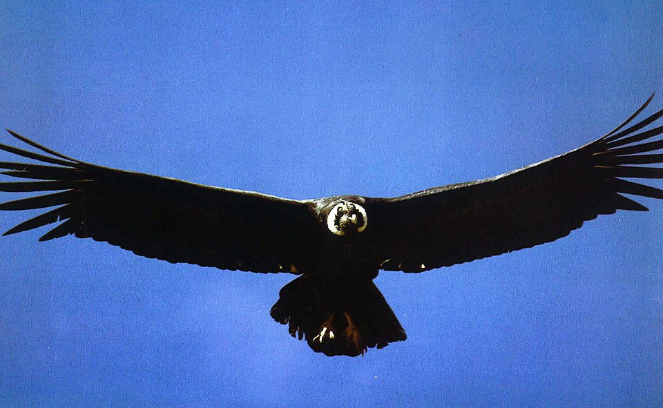 Mi Pais Ecuador: ECUADOR SIERRA: Quito, Cuenca, Pichincha, Carchi ...