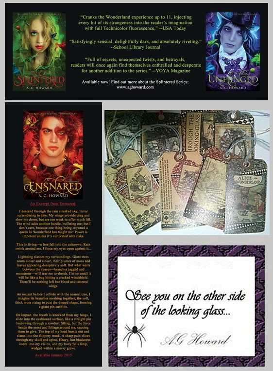 A Still and Quiet Madness ~A.G. Howard~: Ensnared Book Trailer Reveal ...