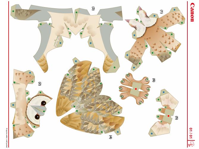 Created by Japanese designer Ayumu Saito & Craft Pocket Studios for ...