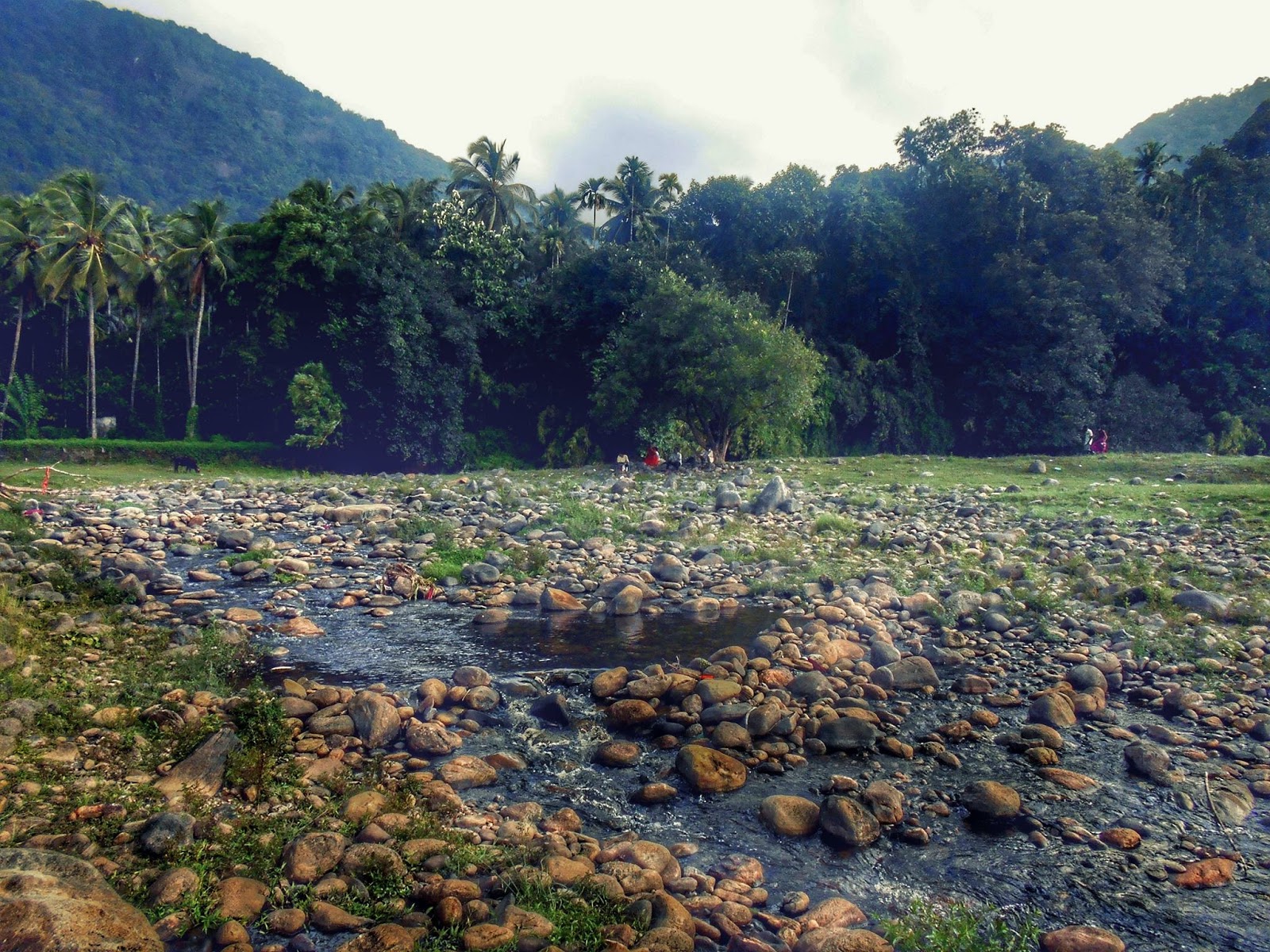 KAKKAYAM DAM CALICUT | KAKKAYAM VALLEY | KARIYATHAN PARA | DAMS NEAR ...