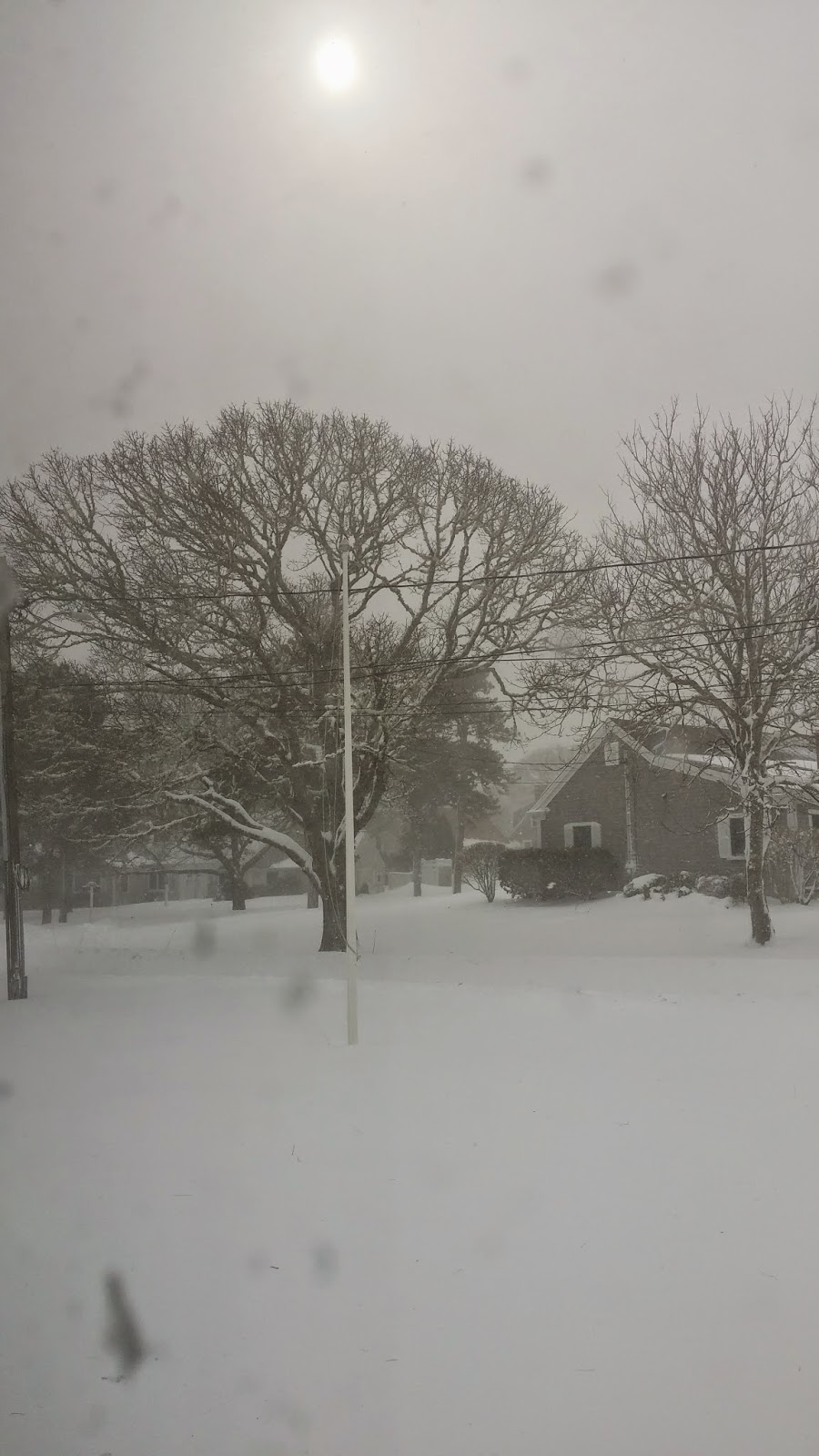 Old Mill Point News: Winter Storm Neptune Blowing Through Cape Cod