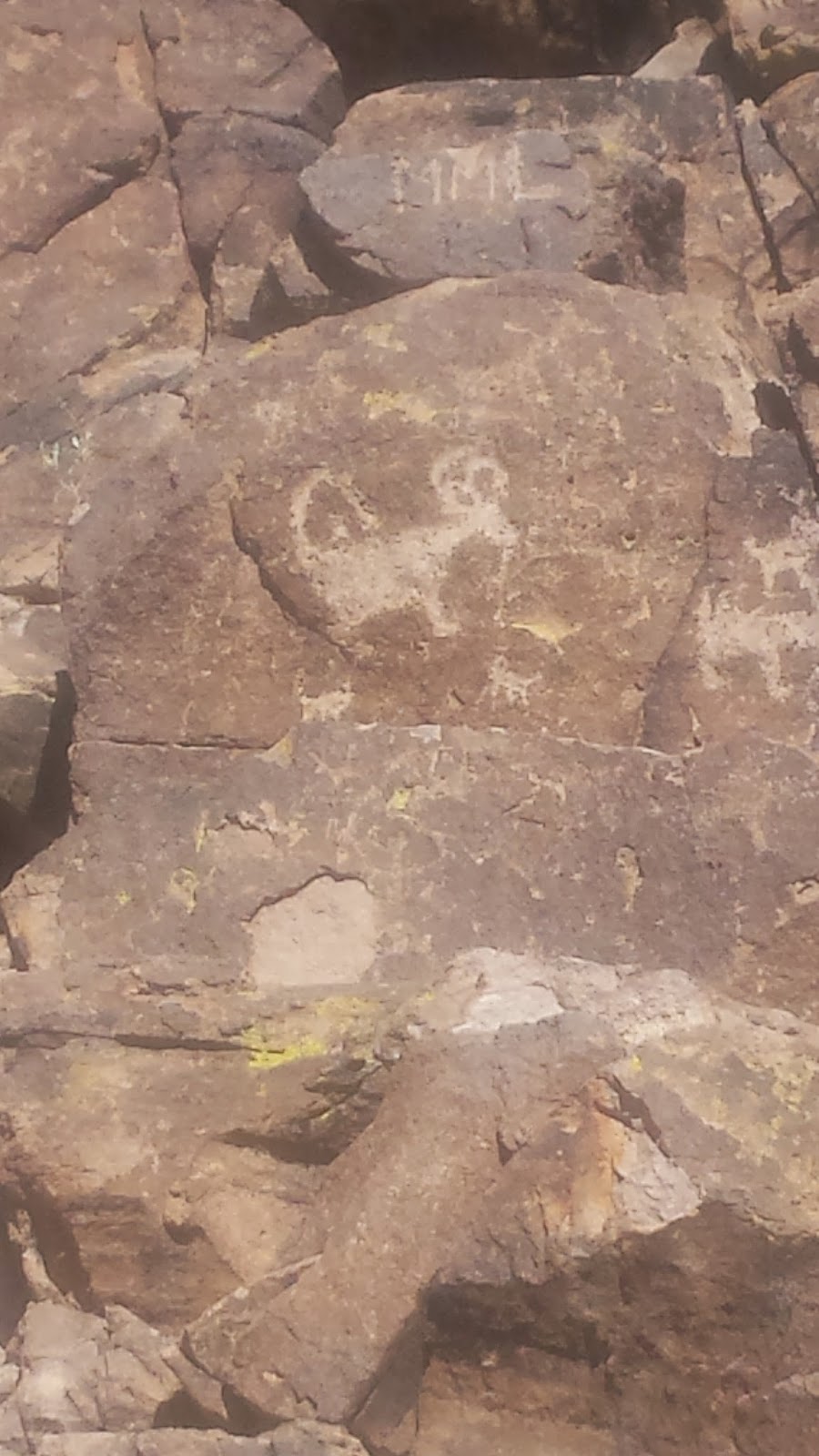 Tucson Daily Photo ~: Ancient petroglyphs in Tucson