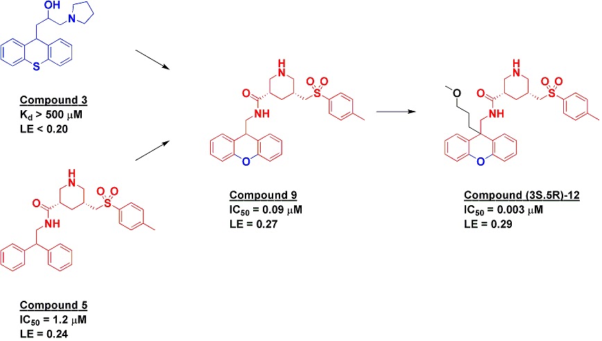 Practical Fragments: Fragment merging for renin