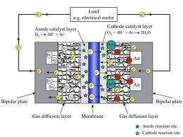 My Chemical: Jenis-jenis Elektroda