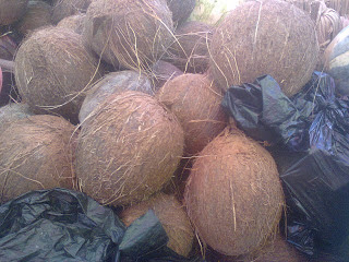 Frutas típicas del Chocó