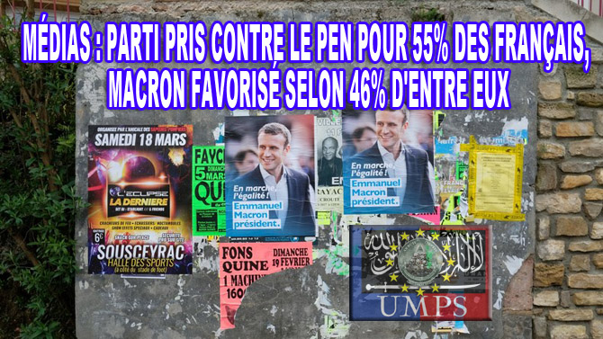 French Vocabulary Illustrated: parti pris