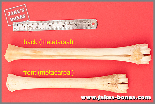 What is this? : r/Arrowheads