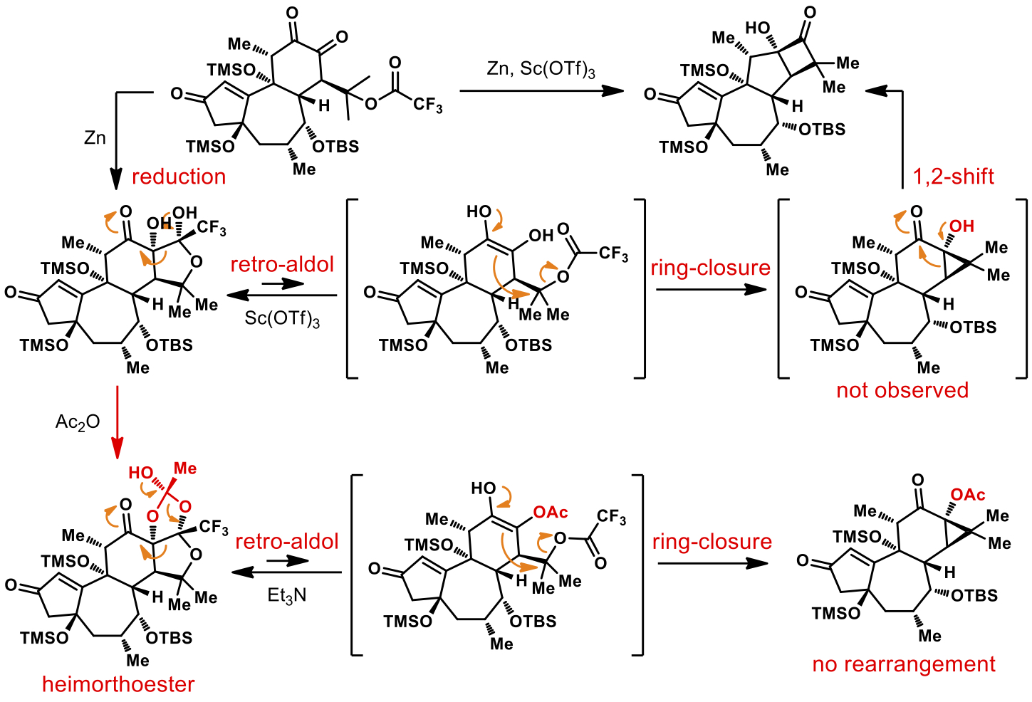 Open Flask: Phorbol Synthesis