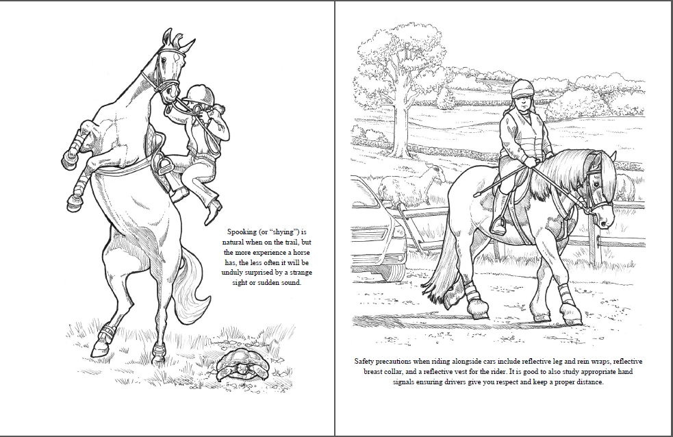 The Author's Mentor (TAM) Blog: LOVE A HORSE? MAKE MY DAPPLED! Coloring ...