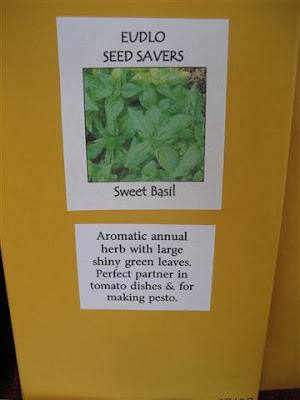 Eudlo Seed Savers Group: How to Grow, Harvest & Save Basil Seeds