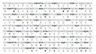 magpie & whiskeyjack: Smell, Taste and Hear the Data