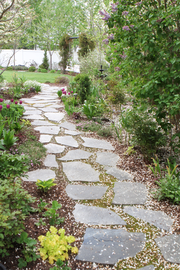 VW Garden: Spring Petal Shower