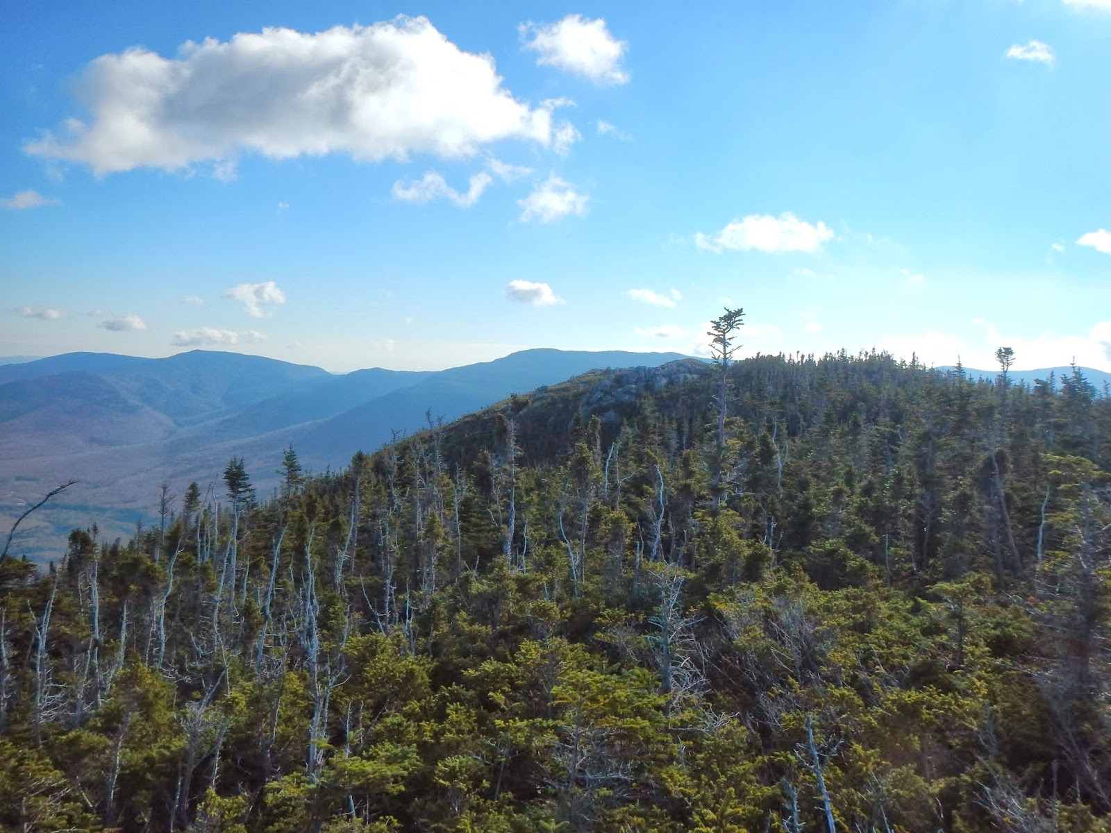 Hitting the Trails: 11/02/2013 Mount Madison - Mount Adams