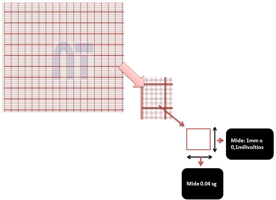 Siempre Estudiando Medicina- El Reto que nunca termina.: Generalidades ...