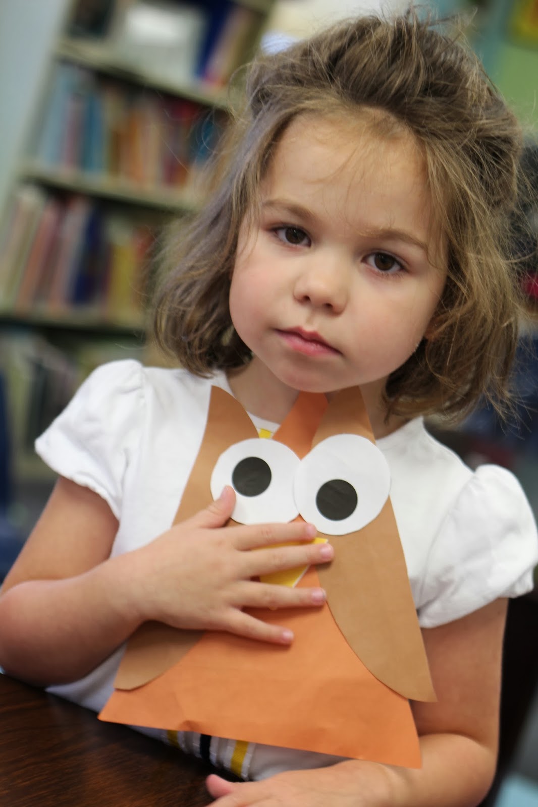 Teach Them To Fly: Shape Owls