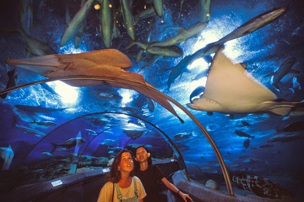 Sentosa Island (Pulau Sentosa) Singapura | Tempat Wisata di Singapore