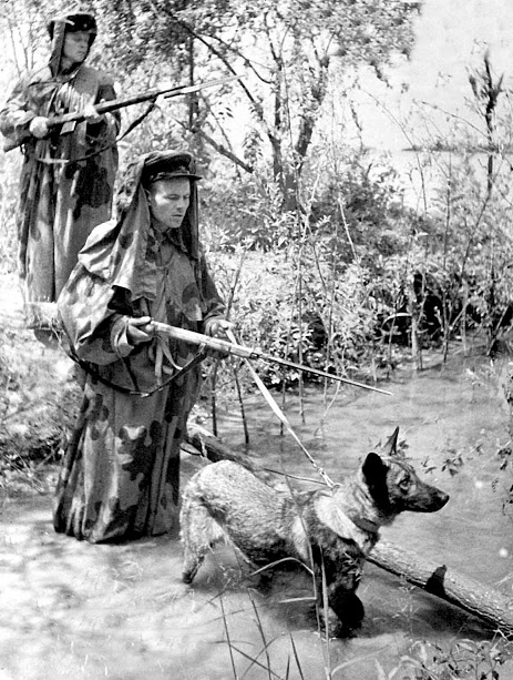Dachau KZ: BARBAROSSA - THE WAFFEN SS ON THE EASTERN FRONT PICTORIAL ...