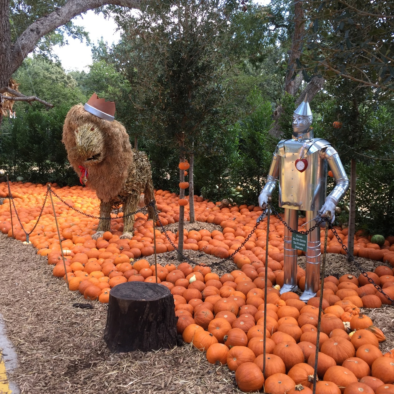 The Real Jenn C.: I had a birthday. Chad needs a root canal.