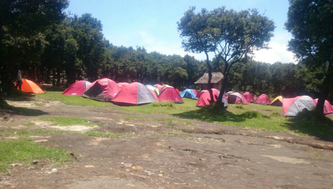 PAKET CAMPING ROMBONGAN ALUMNI SMA 25 JAKARTA | PAKET WISATA CAMPING ...