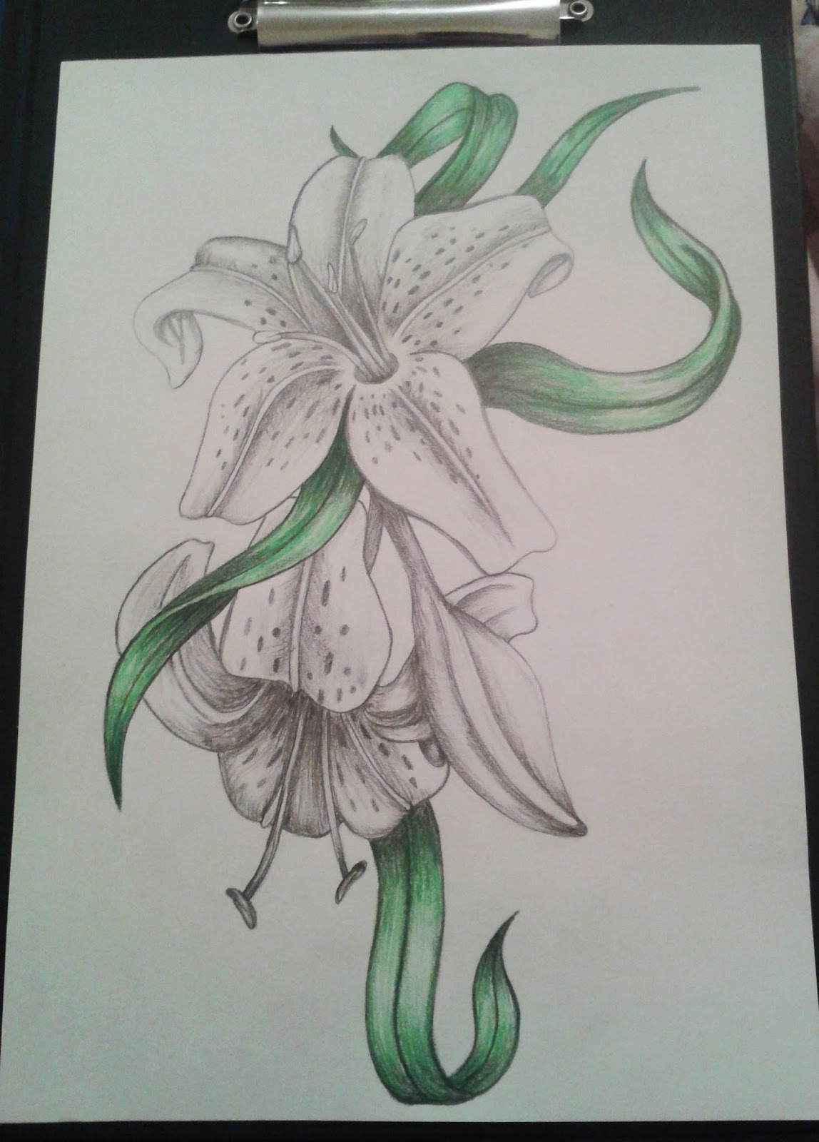 Pictura si grafica de pictor Mihaela Grosan: Crini desenati in creioane ...