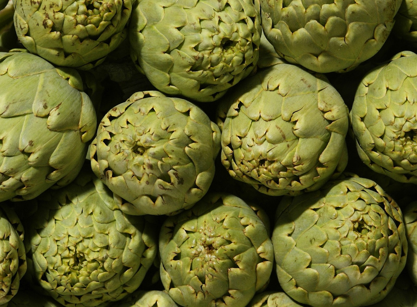 ALCACHOFAS A LA ROMANA