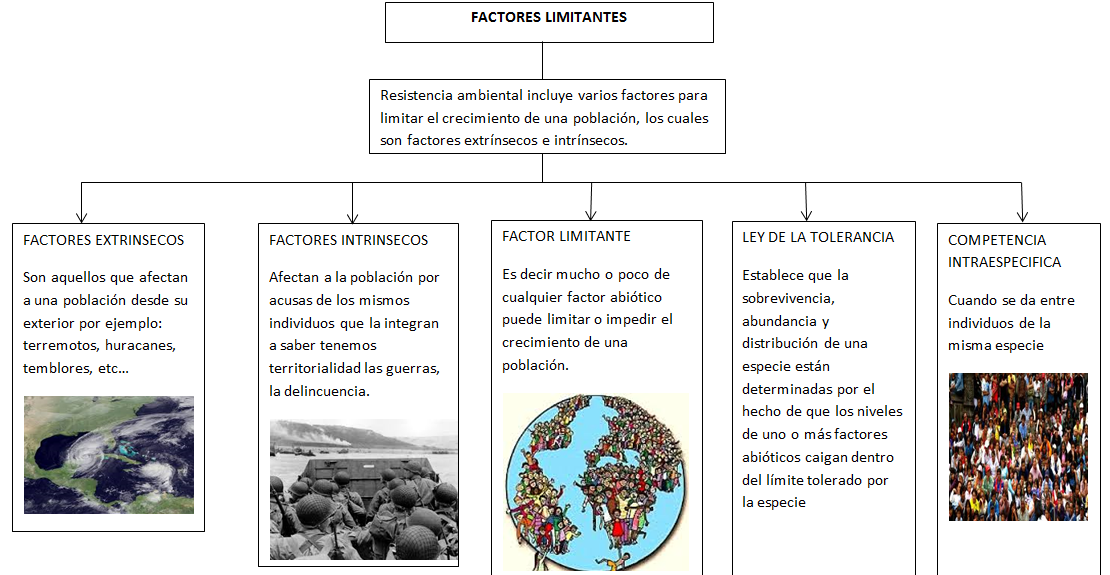 Ecologia y Medio Ambiente: MAPA CONCEPTUAL DE FACTORES LIMITANTES