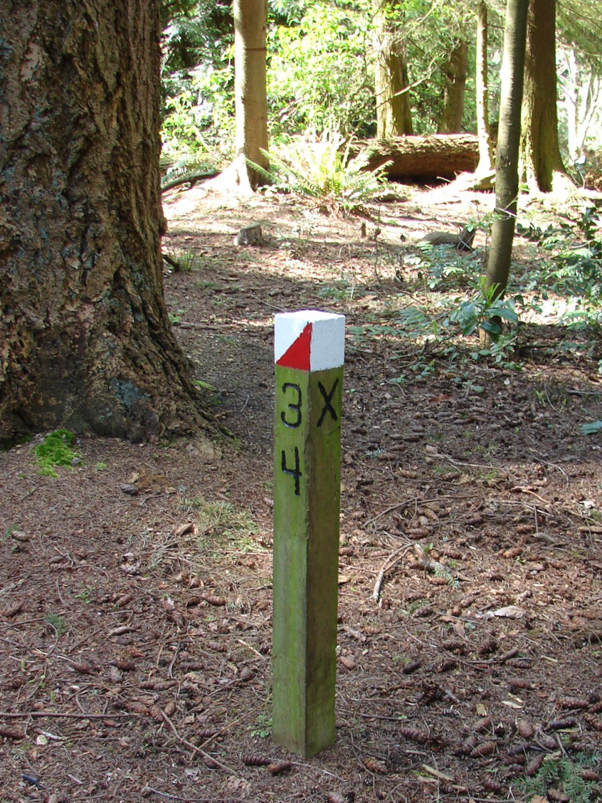 Shoreline Area News: Lost looking for something to do? Get Oriented ...