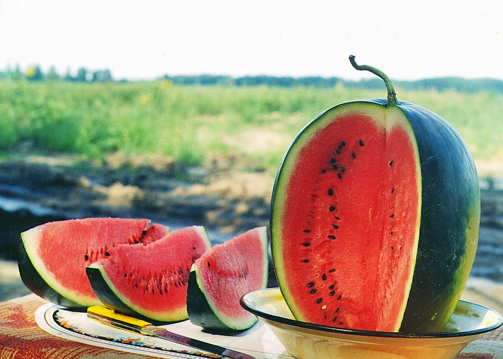 The one About: Scandaluri bizare si fascinante iscate in jurul mancarii