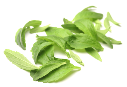 STEVIA CULTIVATION IN INDIA: USES