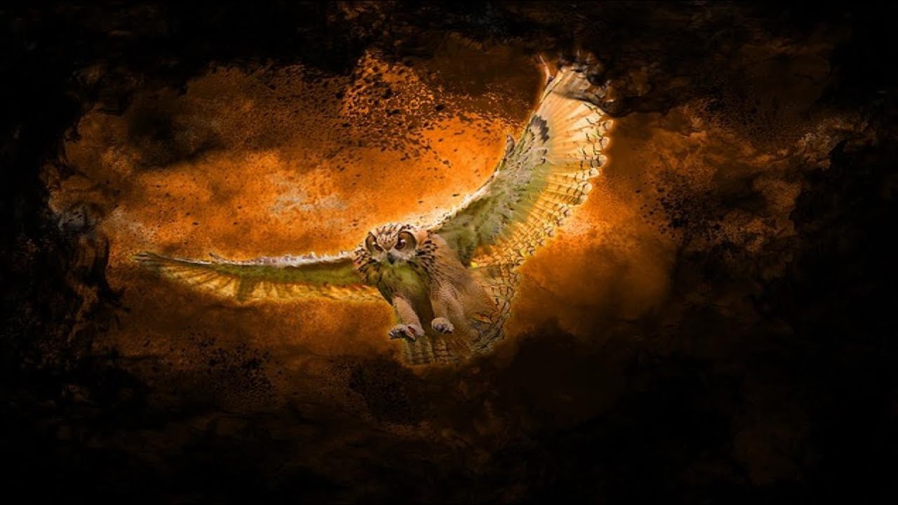 ΜΥΘΑΓΩΓΙΑ - MYTHAGOGIA: Owl in ancient cultures, Myths and Secrets