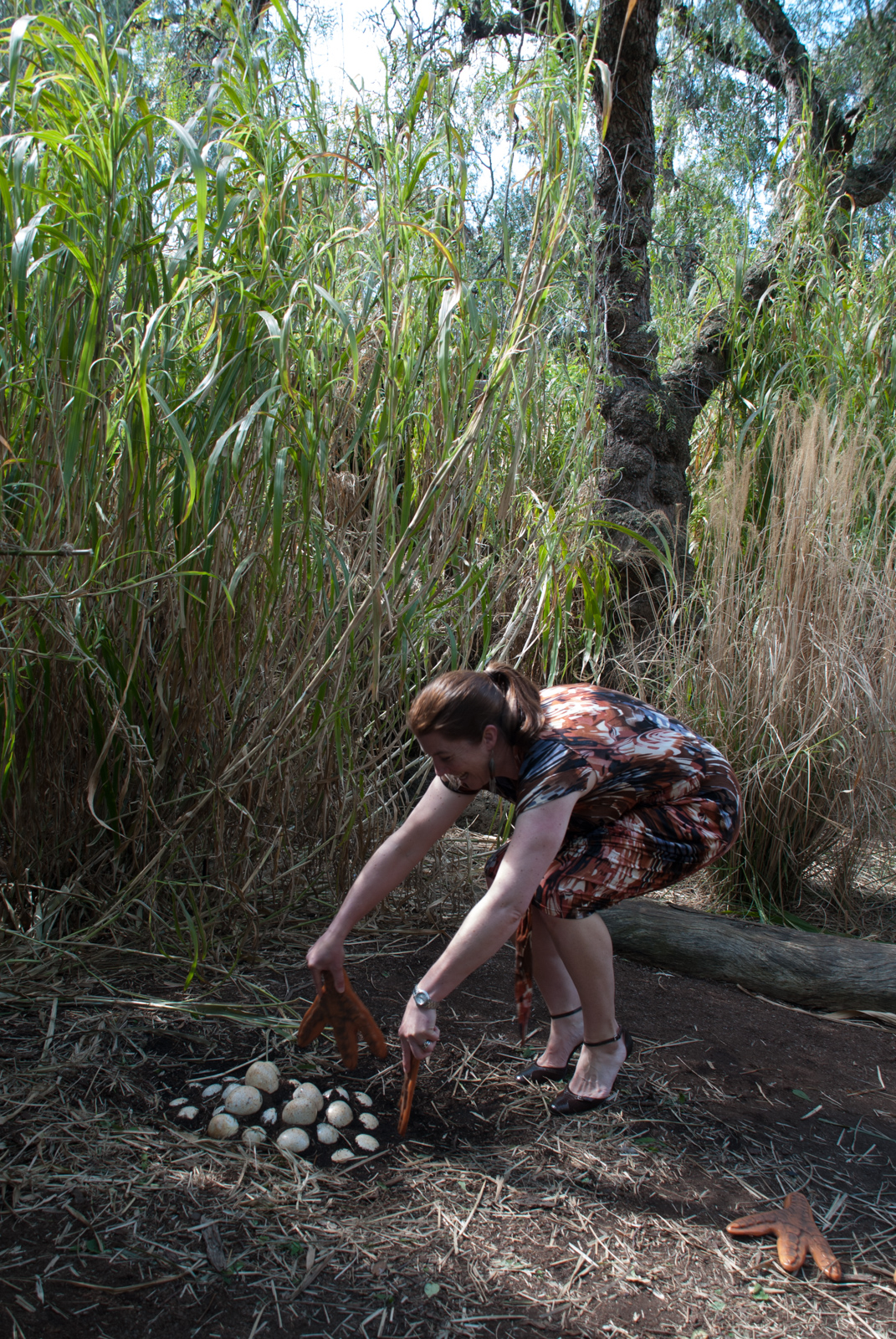 Bartacks and Singletrack: Carnival of the Animals: Part III - The Scrub Hen