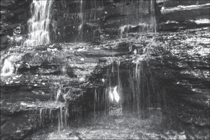 MyPhotoPics: Chestnut Ridge Park