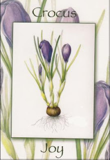 By the Sycamore Tree: November 2012