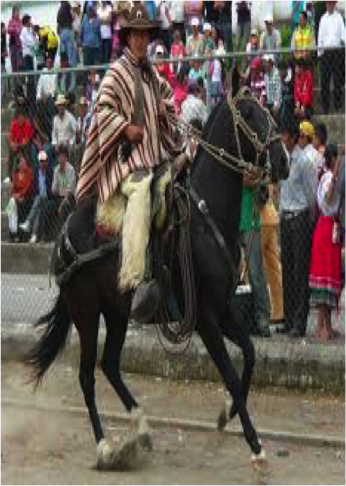 MACHACHI: SU VESTIMENTA