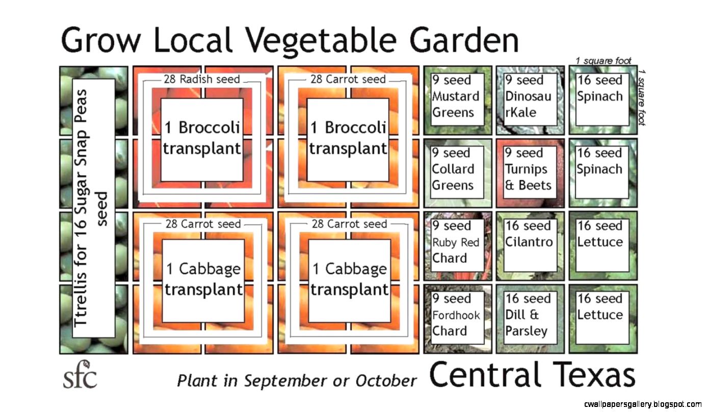 Square Foot Vegetable Garden Layout | Wallpapers Gallery