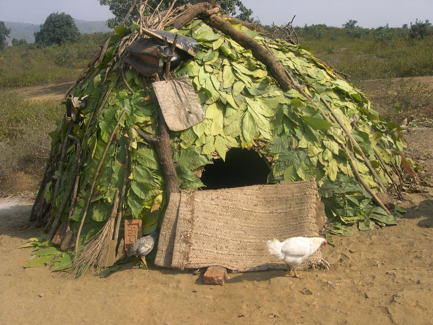 Gustav Imam: Birhor Tribe