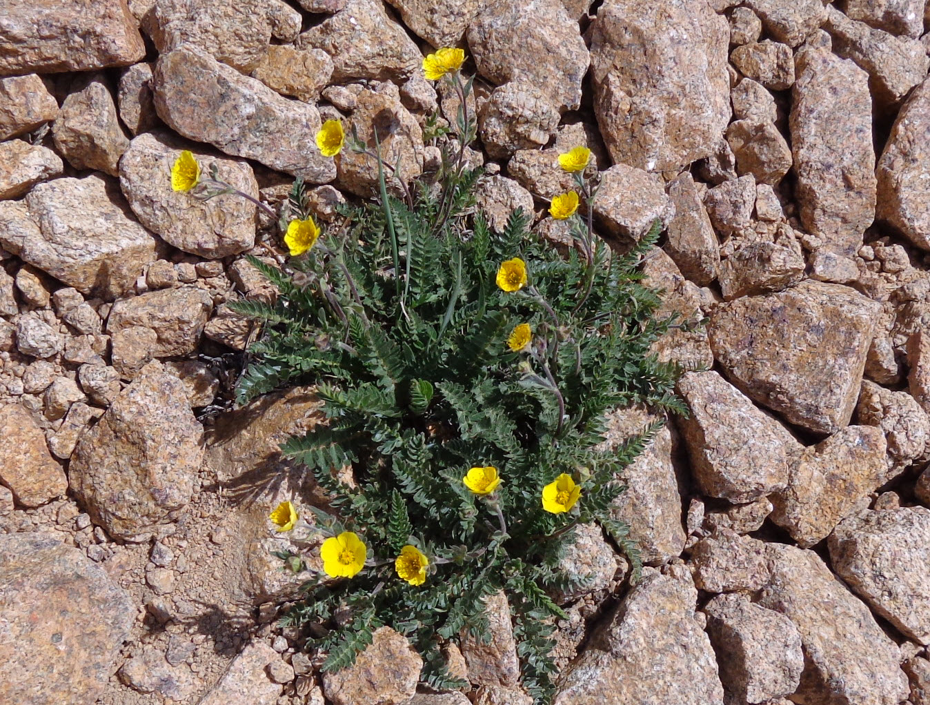 Travels Without Charley: Enjoying Steinbeck's America: 6/25 Colorado ...