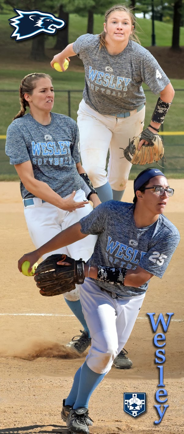 Wesley Wolverines Fastpitch Softball: SPEED, MOVEMENT, LOCATION