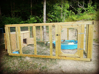 X Marks the Spot: Duck...Duck...PEN!