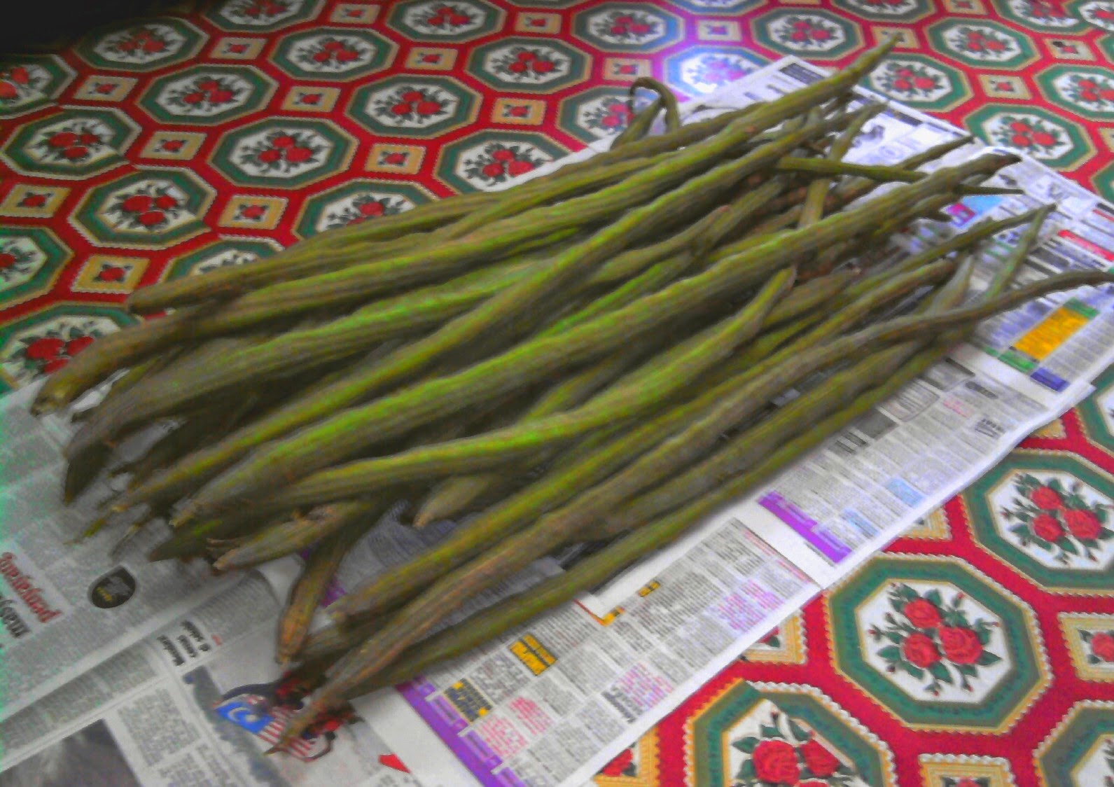 mrmd.akmal blog's: Buah Mungai