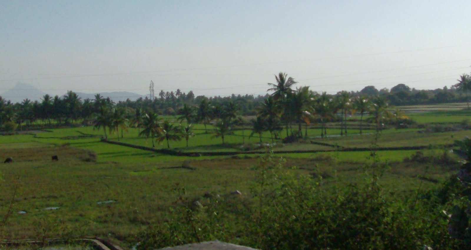 Chadwicks' Picture Place: Indian Countryside