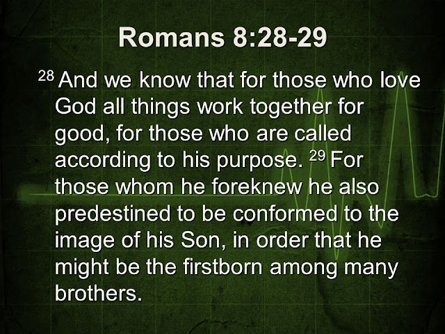 Prayer Pointers: Romans 8: 28-29 - Conformed to the Image of Christ