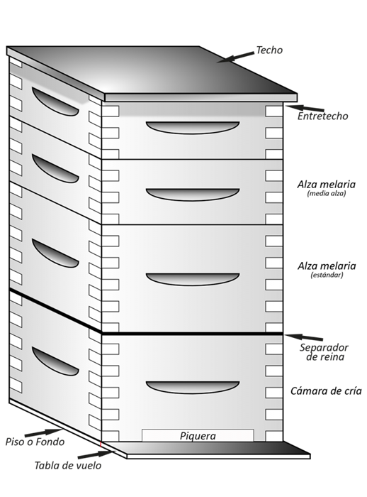 La Colmena: LA COLMENA Y SU ESTRUCTURA