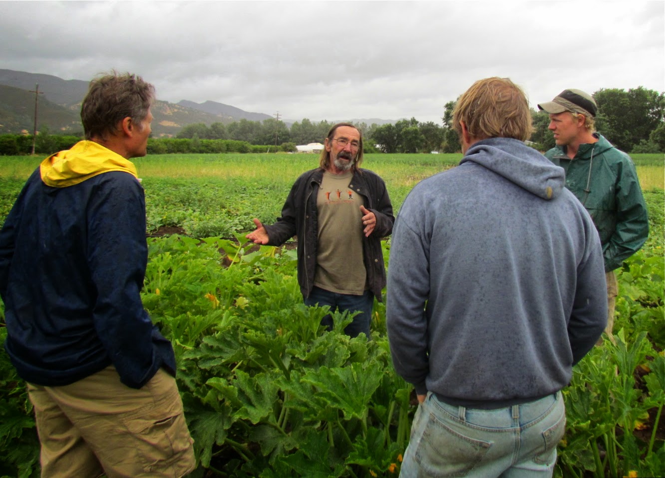 Seed Revolution Now!: Working Together To Build The California Seed Network