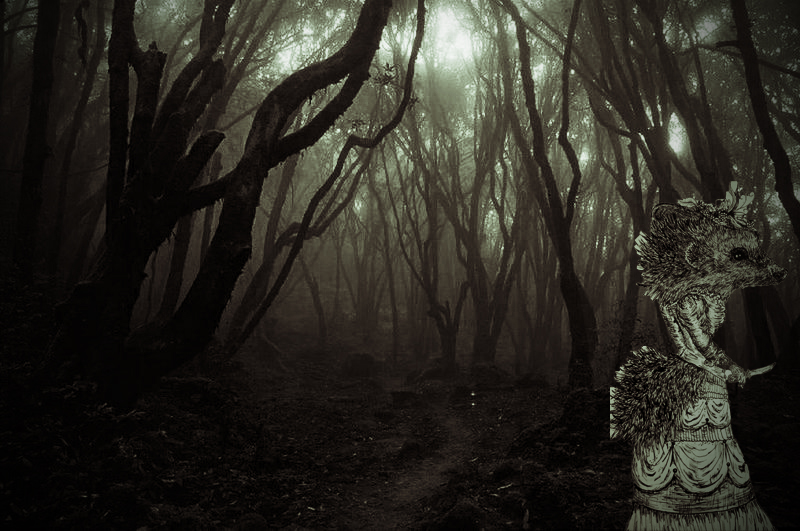 Deep in the darkest forest: Back to The Dark forest